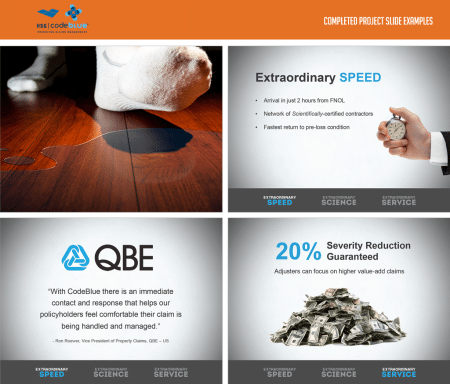 Persuasion slides – SalesBrain: Capture, Convince, Close More Sales