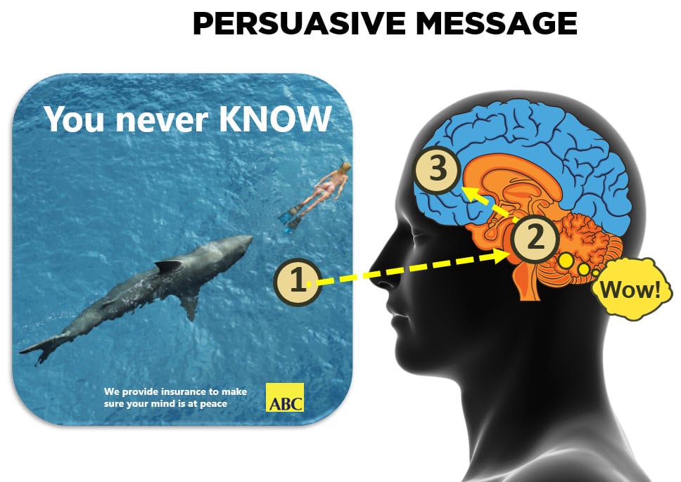Persuasion Messaging – SalesBrain: Capture, Convince, Close More Sales